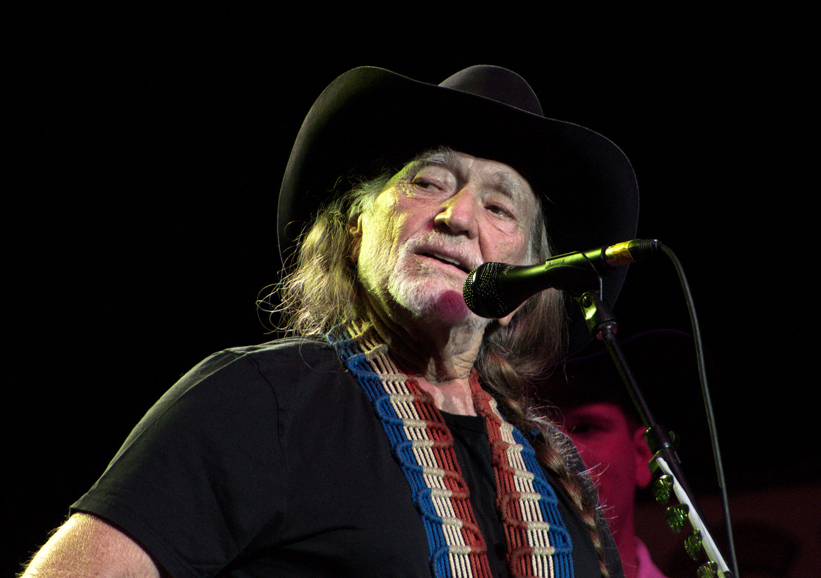 Country Star: Willie Nelson Six Decade Award Winning Legend - Indie ...